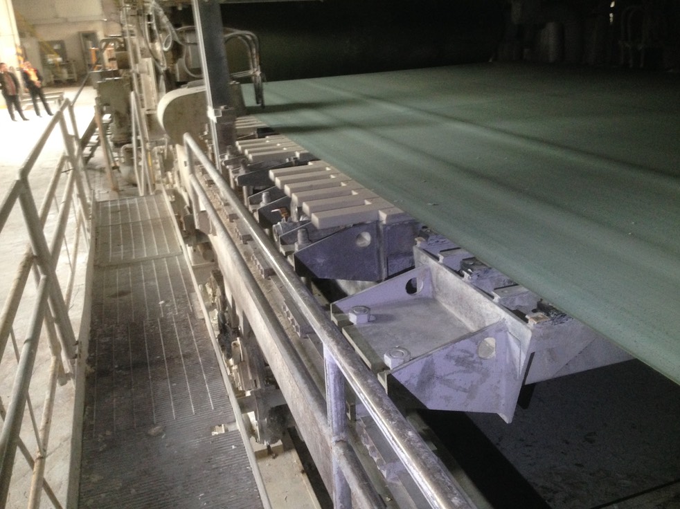 SM2008 | Mark Livingstone | Kiwi